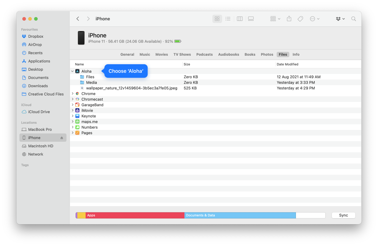 How To Transfer Files To My Computer File Sharing Aloha Browser
